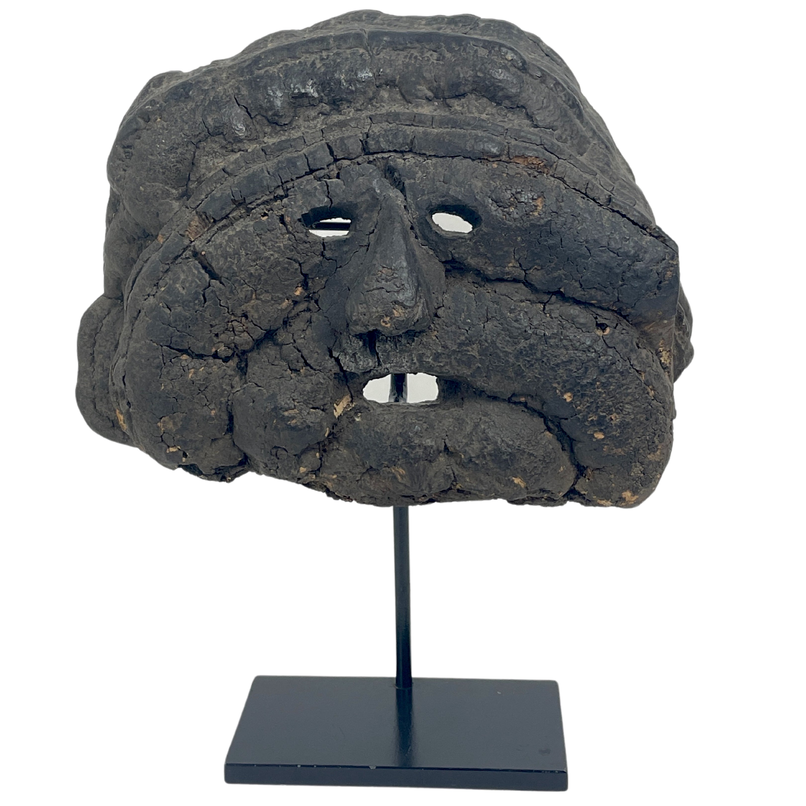 Ritual Lingzhi Fungus Mask – "B" Dry Goods